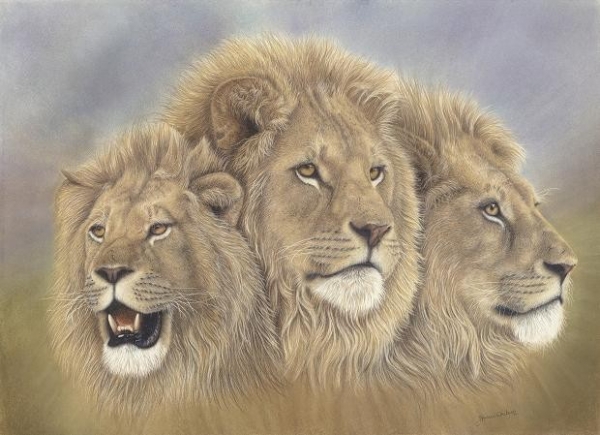 Wildlife artist Frances Whitman receiving the Simon Combes Award for ...